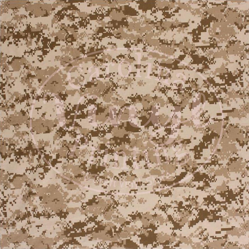 Marine Digital Camo Background